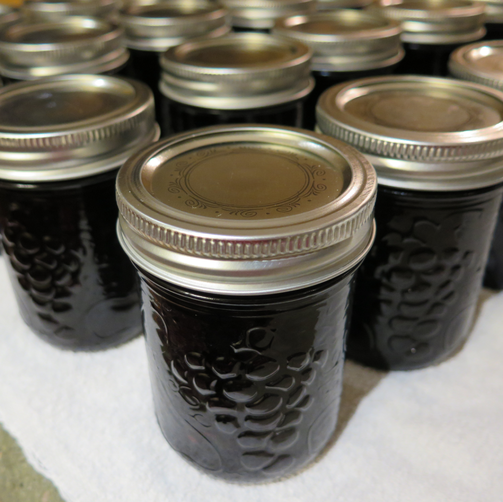 Black Currant Recipes – Arlington Gardens