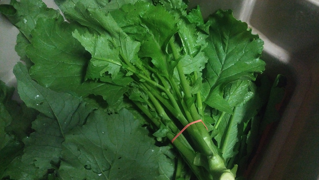 Rapini – recettes – Les Jardins d'Arlington